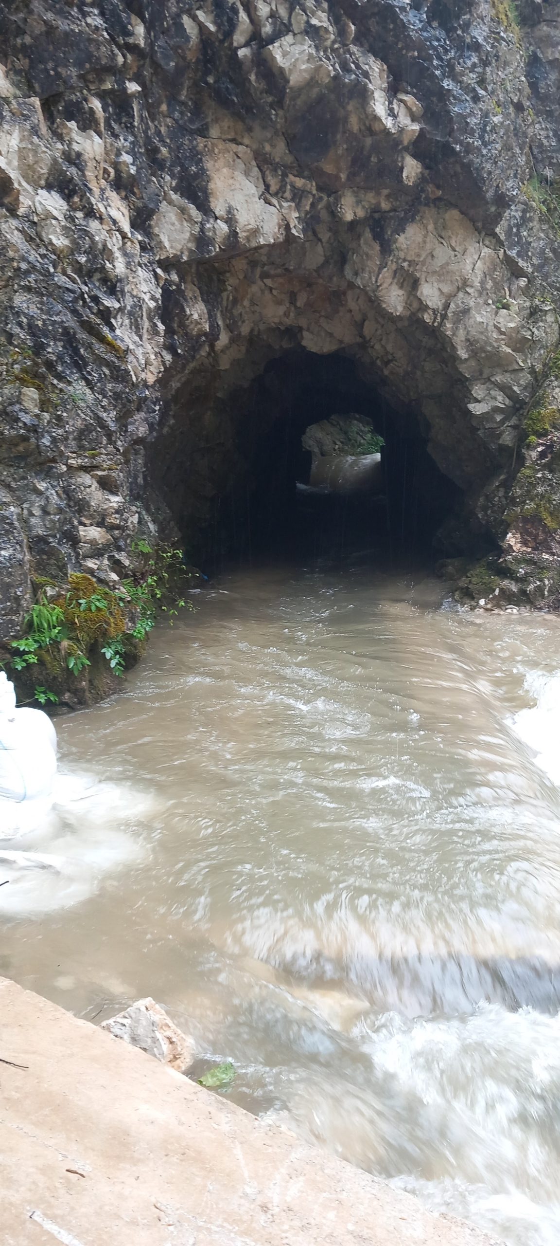 Galerija – Netaknuta priroda | Odius